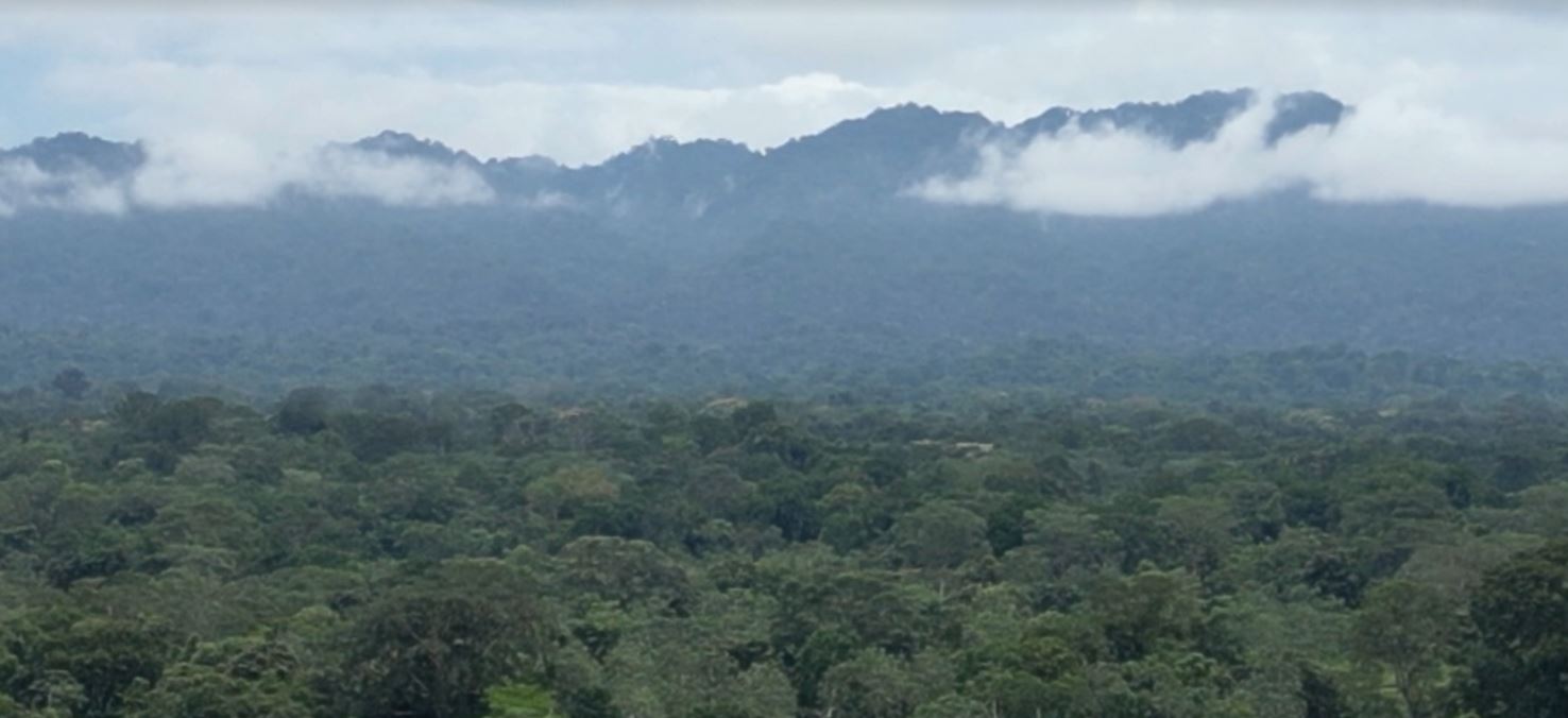 Final Report Answering: Has Panama Closed the Notorious ‘Darien Gap ...